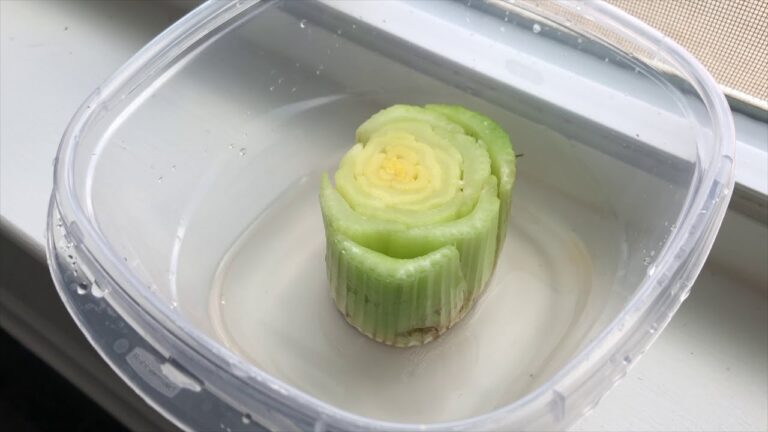 Cómo Cultivar Apio en Casa sin Semilla: Guía Paso a Paso para ...