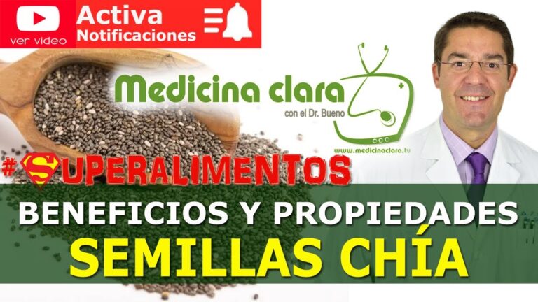 Descubre las Asombrosas Propiedades de la Semilla de Chía Negra para tu ...