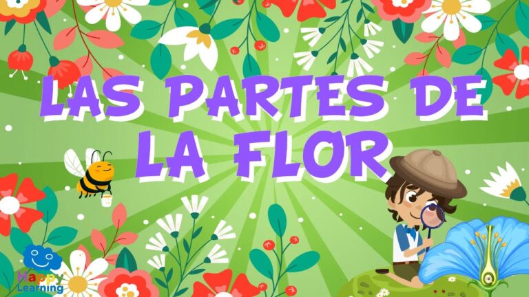 Partes de la Flor para Niños: Aprende de Manera Divertida y Educativa ...